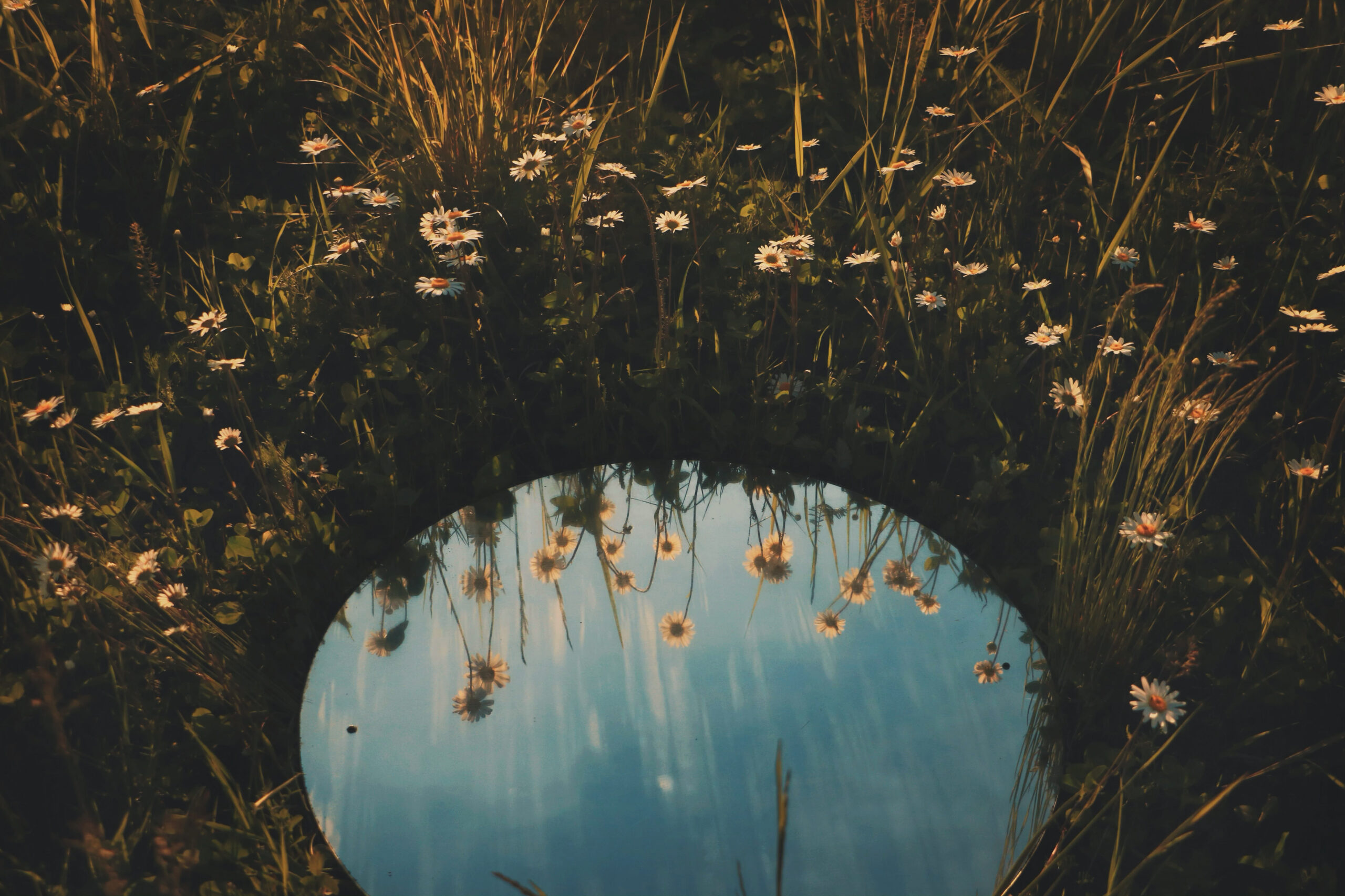 True Reflection - a writer's inkhorn